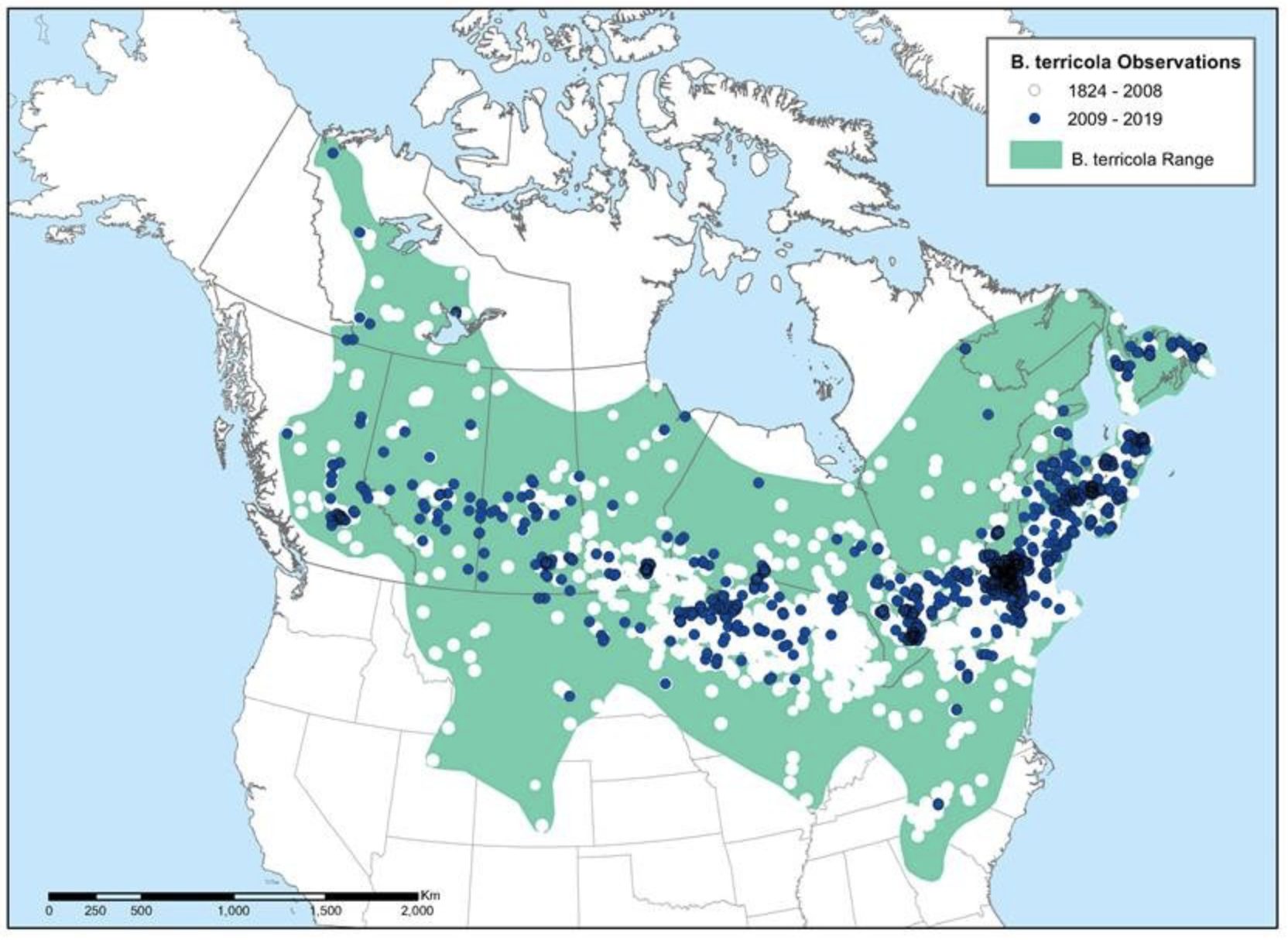 Bumble Bee Conservation Lab | Wildlife Preservation Canada