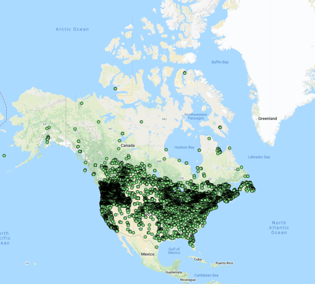 How Bumble Bee Watch supports conservation | Wildlife Preservation ...