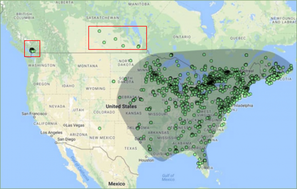 How Bumble Bee Watch supports conservation | Wildlife Preservation ...