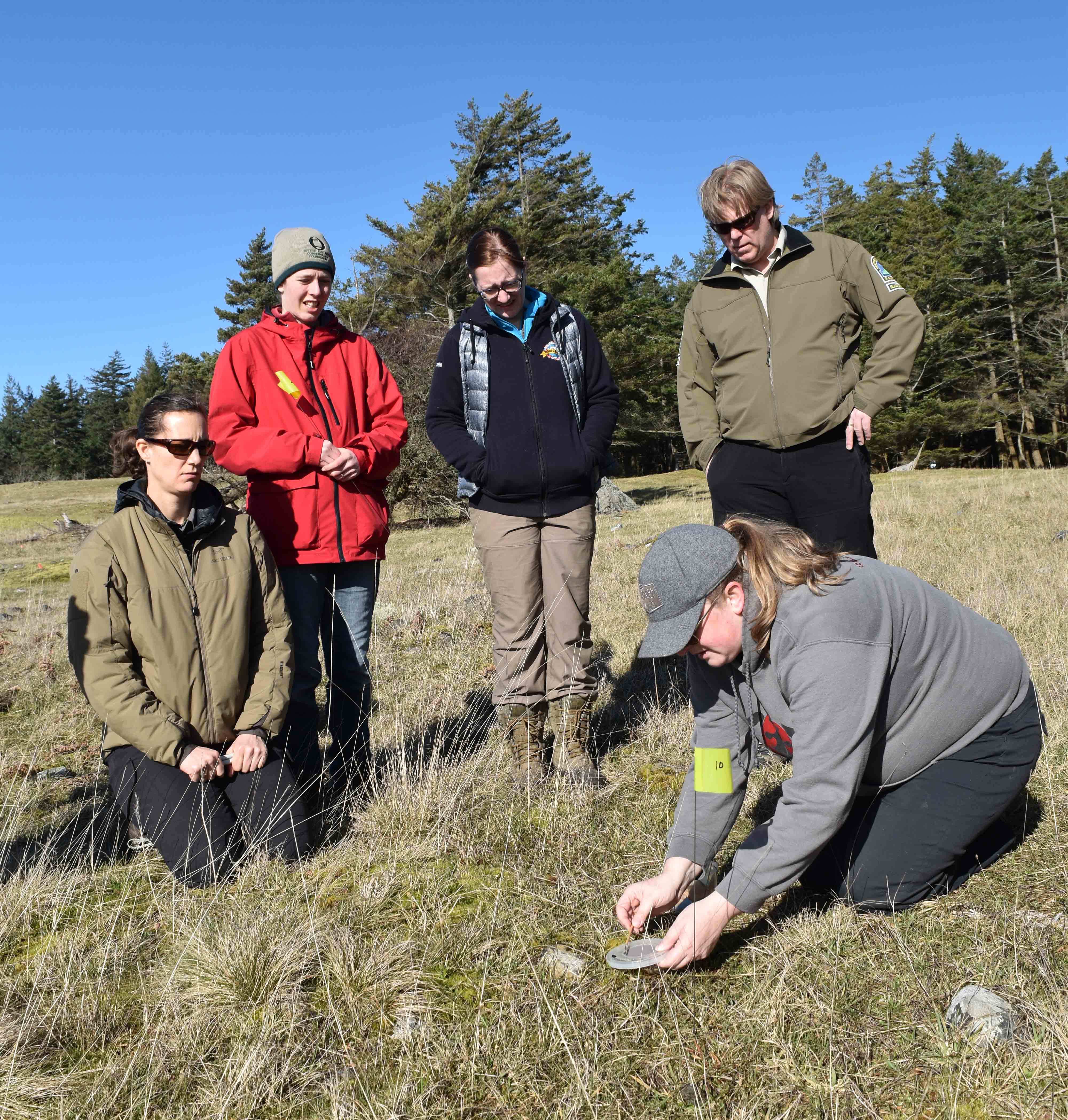 What's new with checkerspot conservation - Wildlife Preservation Canada