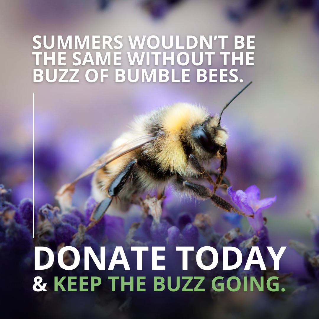 Tipping the scales for wildlife conservation - Wildlife Preservation Canada