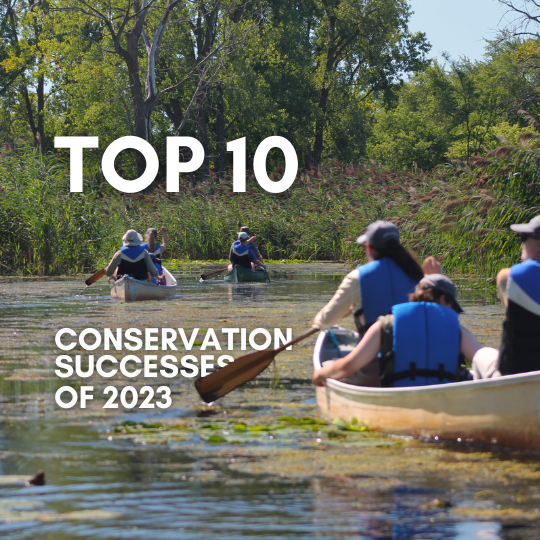 10 conservation successes in 2023 - Wildlife Preservation Canada